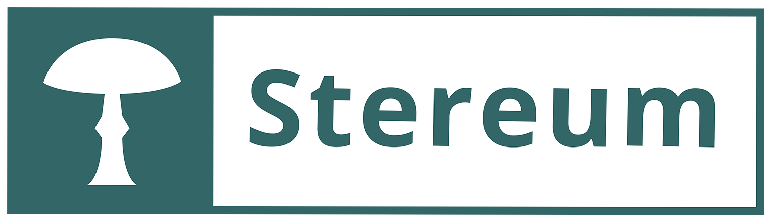 Stereum Ethereum Node